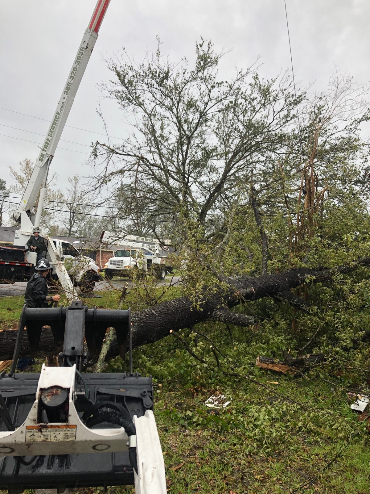 Hurricane Readiness Checklist Archives - Tree Removal Ormond Beach ...